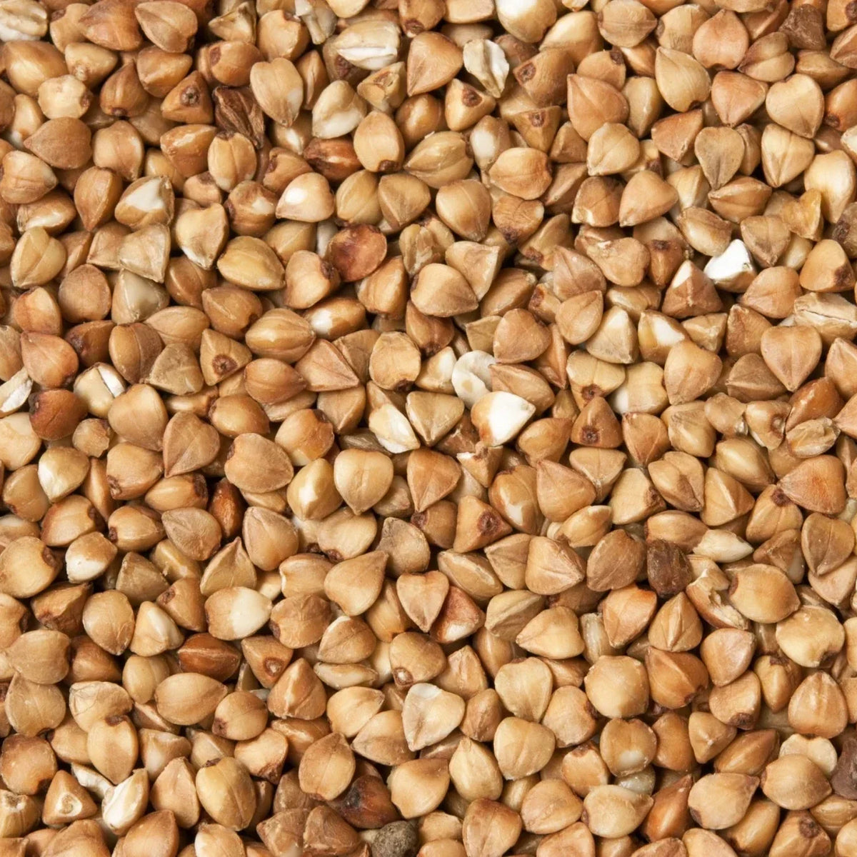 Buckwheat – Gold Collagen