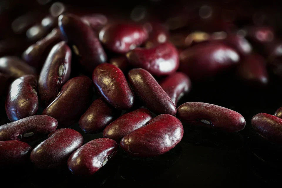 Kidney Beans – Gold Collagen