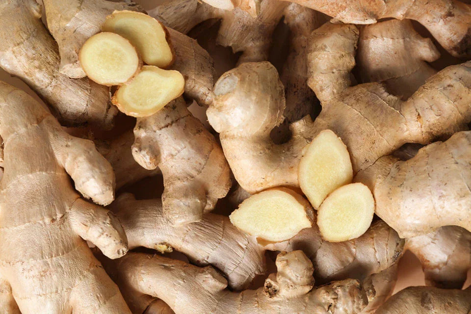 Ginger – Gold Collagen